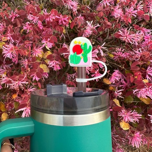 Accessories | Desert Cactus Stanley Straw Topper | Poshmark